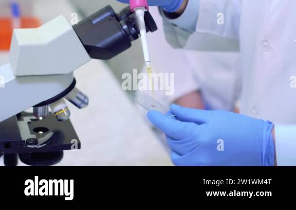 Scientist carries out scientific research looking through microscope in a medical laboratory ...