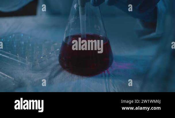 Scientist taking out a red liquid from a conical flask with ...