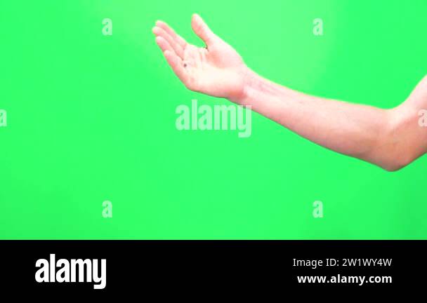 Sign NO and STOP on green screen background. Closeup view of one single ...