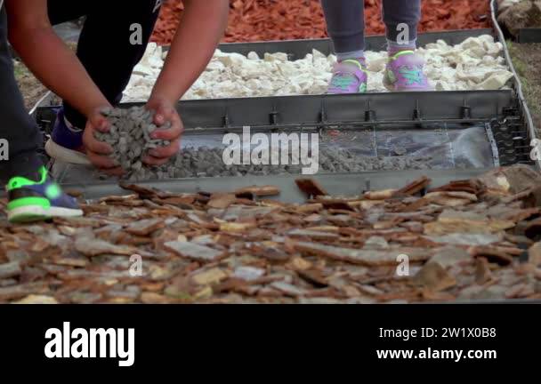 Young children constructing a path, in the sensory garden, made of ...