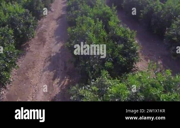 Ica background Stock Videos & Footage - HD and 4K Video Clips - Alamy