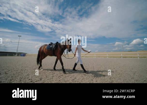 Horseman woman horse riding Stock Videos & Footage - HD and 4K Video ...