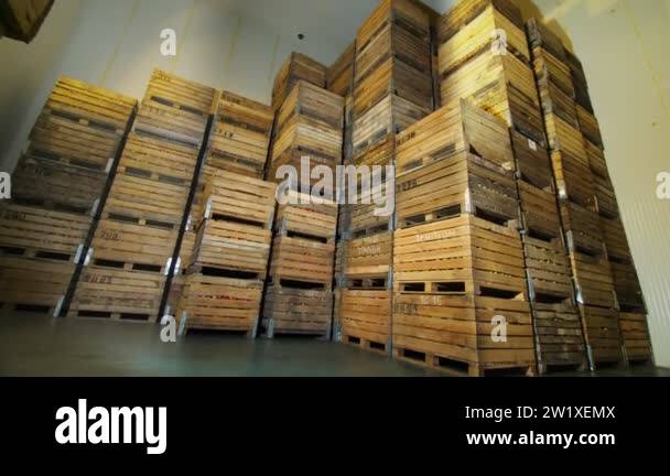 apple storage. warehouse. stacks of wooden crates for fruit, boxes with ...