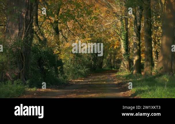 Pretty lane Stock Videos & Footage - HD and 4K Video Clips - Alamy