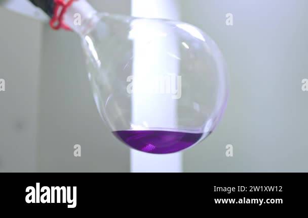 Glass bulb rotates in a laboratory evaporator. Scientific medical ...