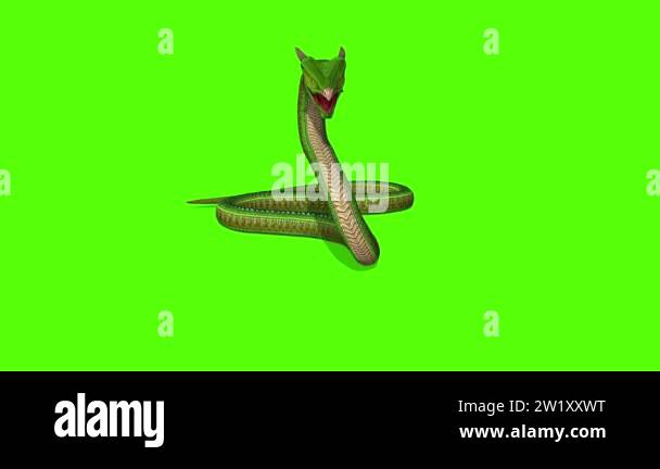 animation of Snake attack - Python Green Screen Stock Video Footage - Alamy
