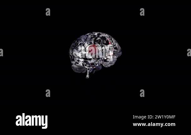 Human brain inside glass Stock Videos & Footage - HD and 4K Video Clips ...
