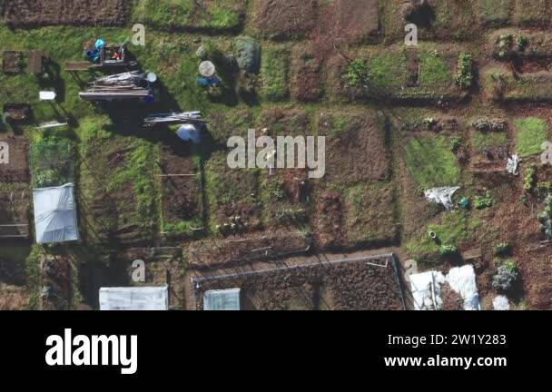 Allotment aerial Stock Videos & Footage - HD and 4K Video Clips - Alamy