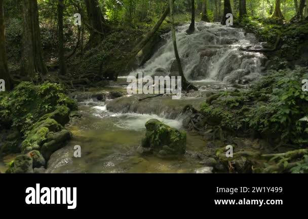 The hidden waterfall rapid flows from cascade among green plants during ...