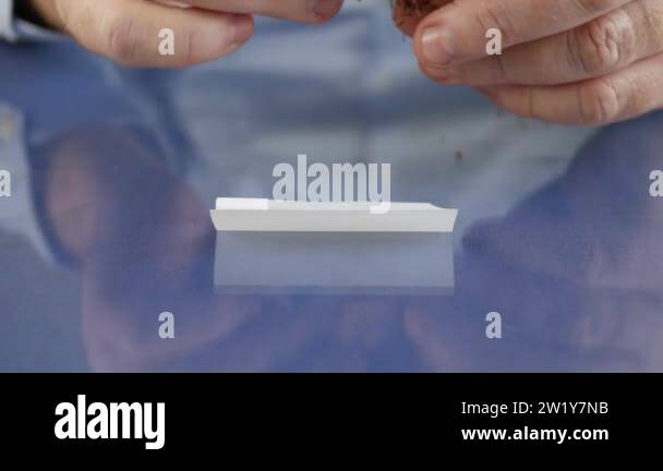 Man Hands Roll a Handmade Cigarette Using Cigarette Paper a Filter and ...