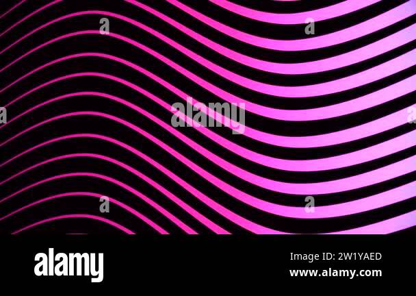 Wavy colored lines with black stripes. Animation. Beautiful animation ...