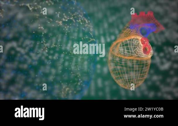 3d model of human heart on the monitor turning around, with visual ...