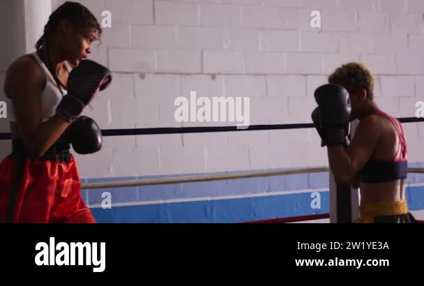 Side view of two mixed race female boxers, one with short curly hair ...