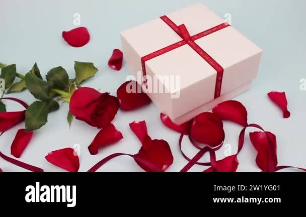 Young red rose open Stock Videos & Footage - HD and 4K Video Clips - Alamy