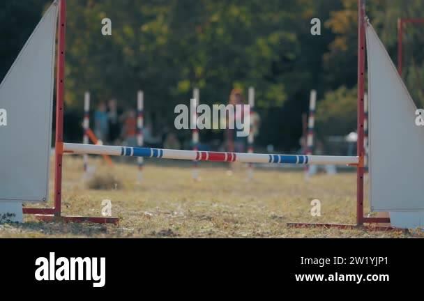 Obstacle bar Stock Videos & Footage - HD and 4K Video Clips - Alamy