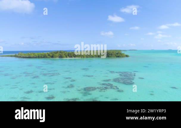 lush tropical greenery and picturesque white sand beach on a remote ...