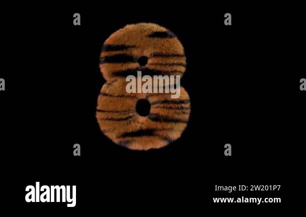 3D animated furry hairy zoo tiger text typeface with alpha channel 8 ...
