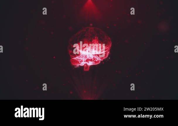 MRI of the human brain. The hologram of the human brain rotates among ...