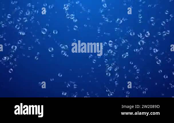 Abstract Sparkling water in the glass bubbles going up 4K 3D Green ...