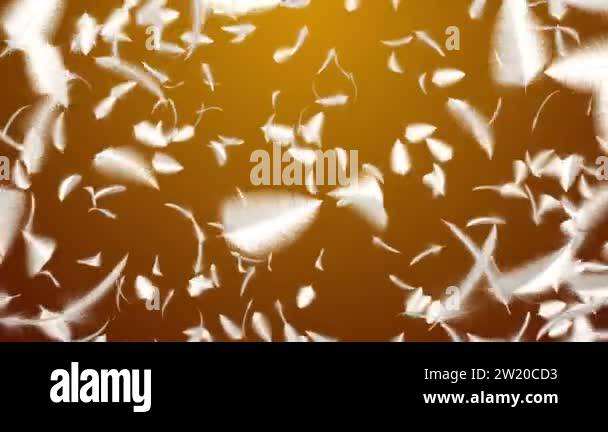 3d animation footage of falling feather. Animation of seamless loop ...