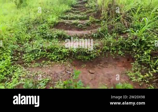 Motion lapse video of a soil stairs with grass on the walking path on ...