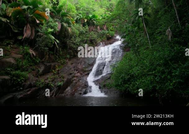 Mahe river Stock Videos & Footage - HD and 4K Video Clips - Alamy
