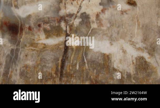 Microscope wood Stock Videos & Footage - HD and 4K Video Clips - Alamy