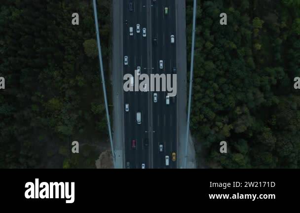 Start of Bridge Road Freeway between Forest woods with Car traffic ...