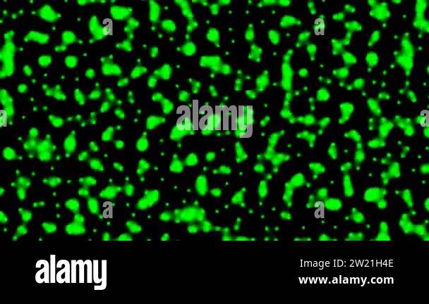 Viral bacteria Stock Videos & Footage - HD and 4K Video Clips - Alamy
