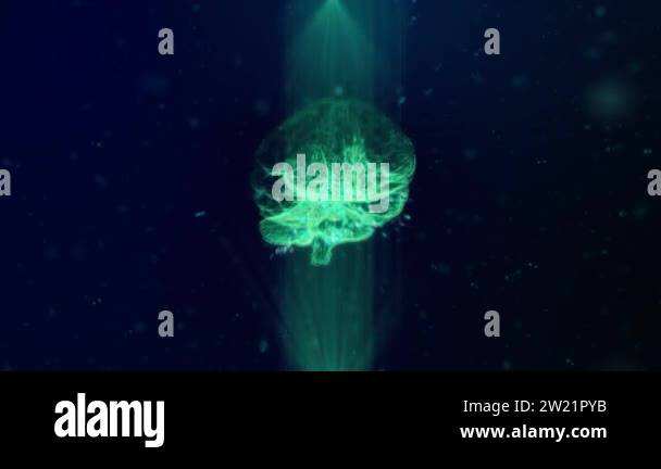 MRI of the brain. Hologram of the human brain rotates among particles ...