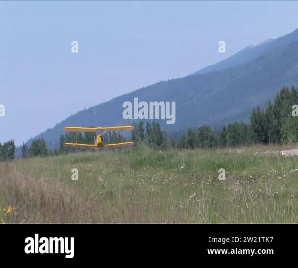 Flying tiger moth Stock Videos & Footage - HD and 4K Video Clips - Alamy