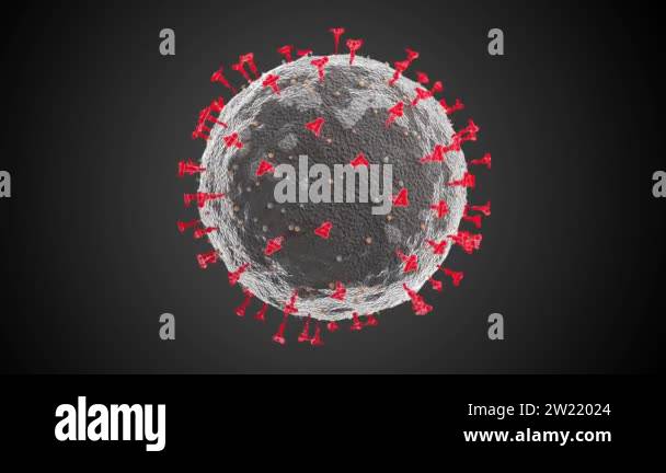 Realistic 3D animation of the severe acute respiratory syndrome ...
