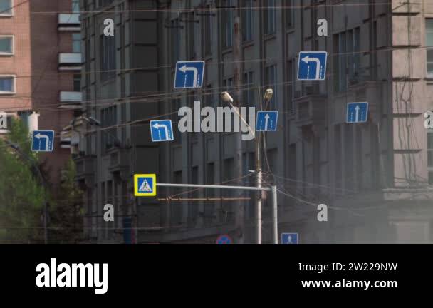 Building vehicle road signboard transport Stock Videos & Footage - HD ...
