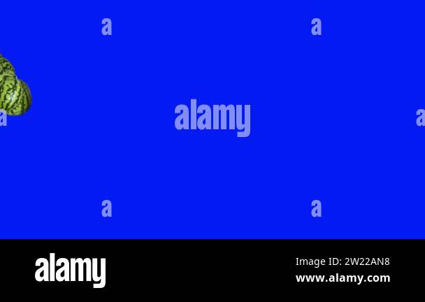 group of melons animation transition on green screen chroma key Stock ...