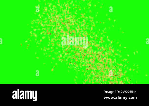 luxury gold confetti party popper explosion isolated on a green screen ...