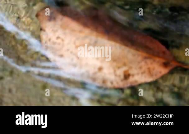 Stream symbolism Stock Videos & Footage - HD and 4K Video Clips - Alamy