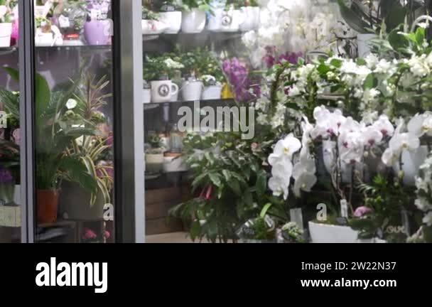 Metro kiosk Stock Videos & Footage - HD and 4K Video Clips - Alamy