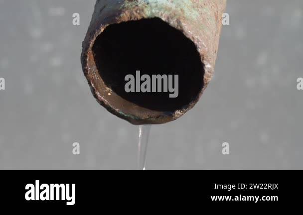 Water corpse Stock Videos & Footage - HD and 4K Video Clips - Alamy