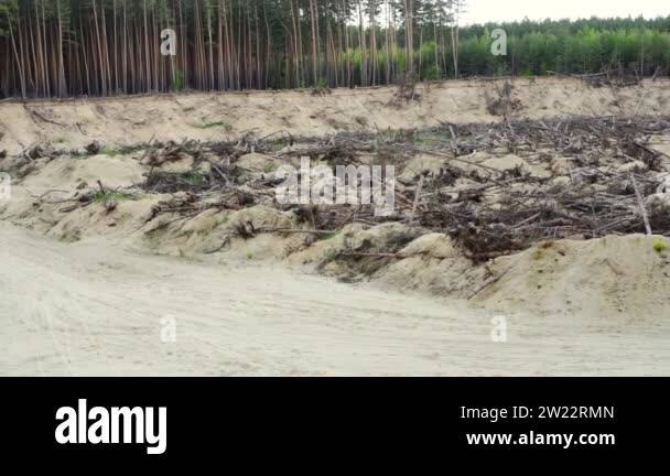 Deforestation forest disaster change Stock Videos & Footage - HD and 4K ...