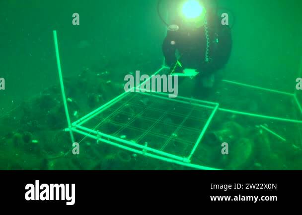 Underwater archeology: sketching an underwater archaeological object ...