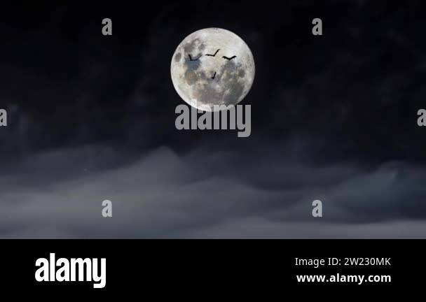 Full Moon With Flying Bats & Foggy mistNight 4K animation footage. Full ...
