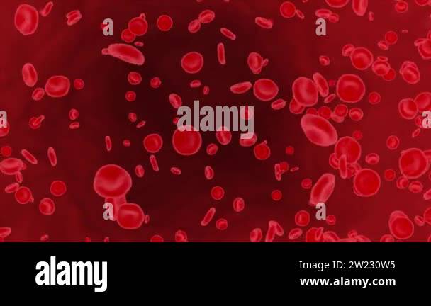 Red blood cells and particles flowing inside a human body Motion ...