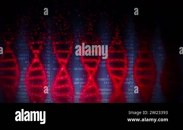 Molecule of DNA system with red blood. Blood floating through. Loop ...