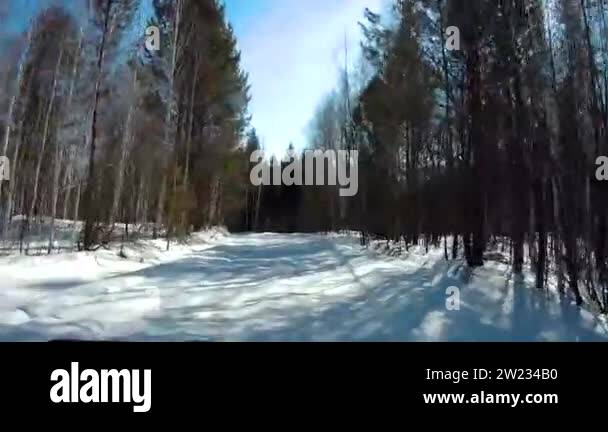 Winter in taiga Stock Videos & Footage - HD and 4K Video Clips - Alamy