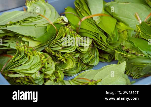 Betel stain Stock Videos & Footage - HD and 4K Video Clips - Alamy