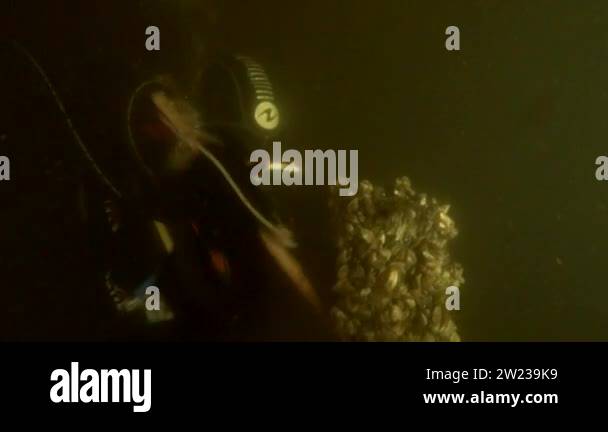 DNIEPER RIVER, KHORTYTSIA, UKRAINE - DECEMBER 2019: Underwater ...