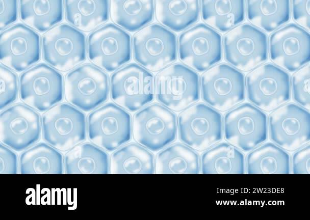 Human skin cells. Each cell with membrane. Cellular therapy. Disease ...