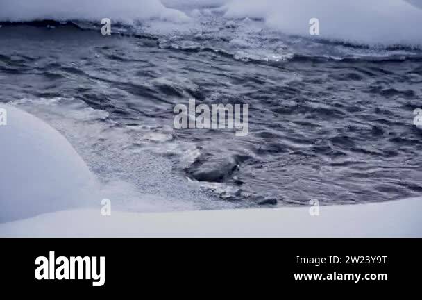 Dark cold water flows among snow and ice. Stream in a snowy forest ...