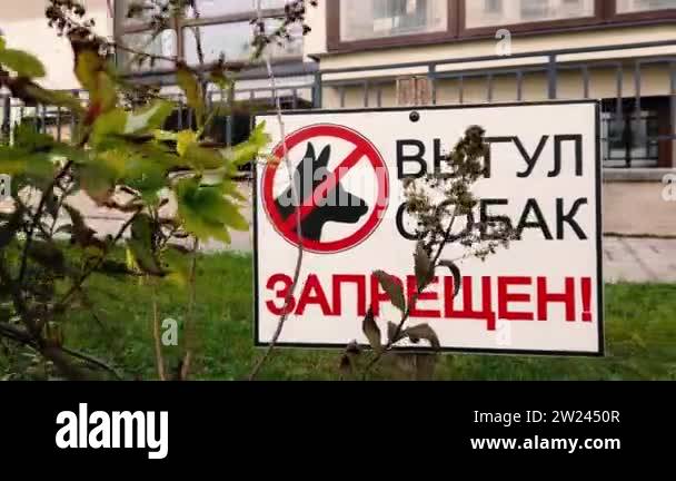 City street green zone hang plague sign "dog walking is prohibited ...