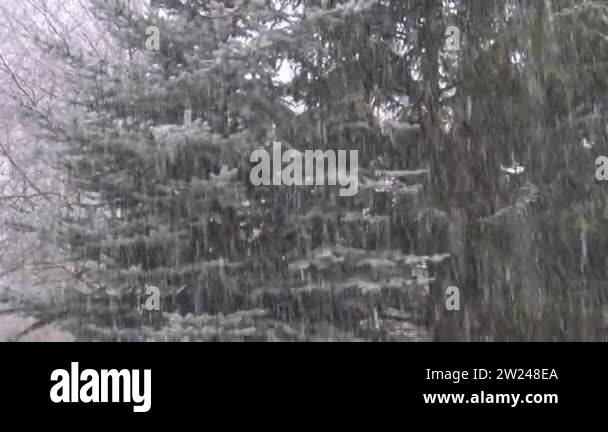 Snow on sticks Stock Videos & Footage - HD and 4K Video Clips - Alamy